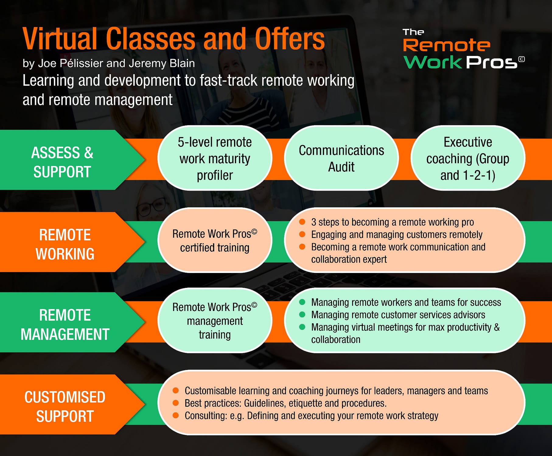 The Remote Work Pros - Performance Works International: Developing ...